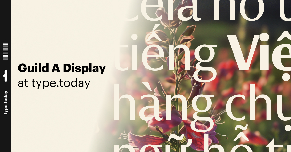 Guild A Display Bold