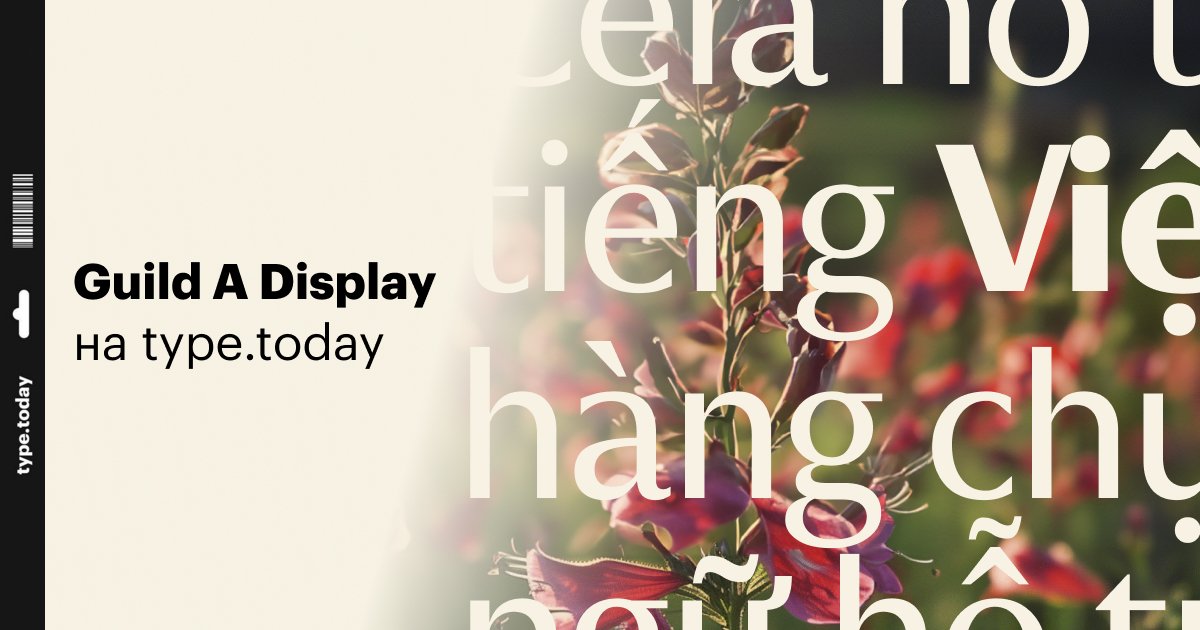 Guild A Display Bold