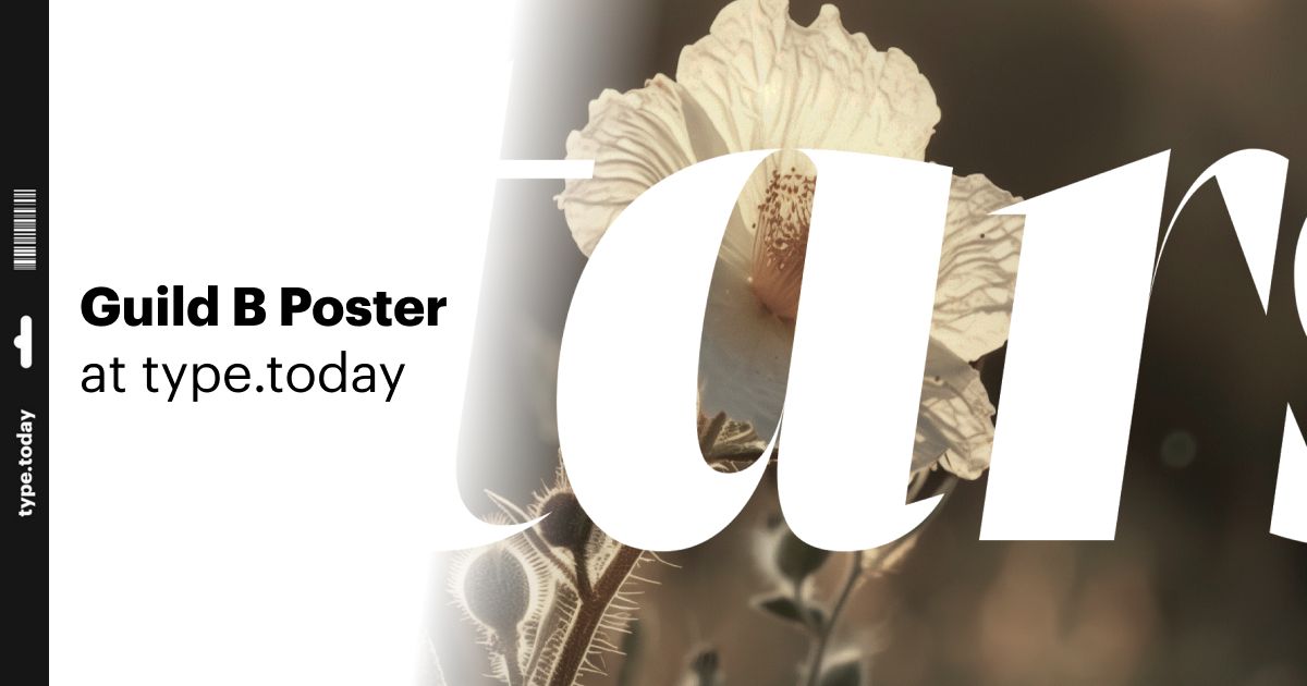 Guild B Poster Regular